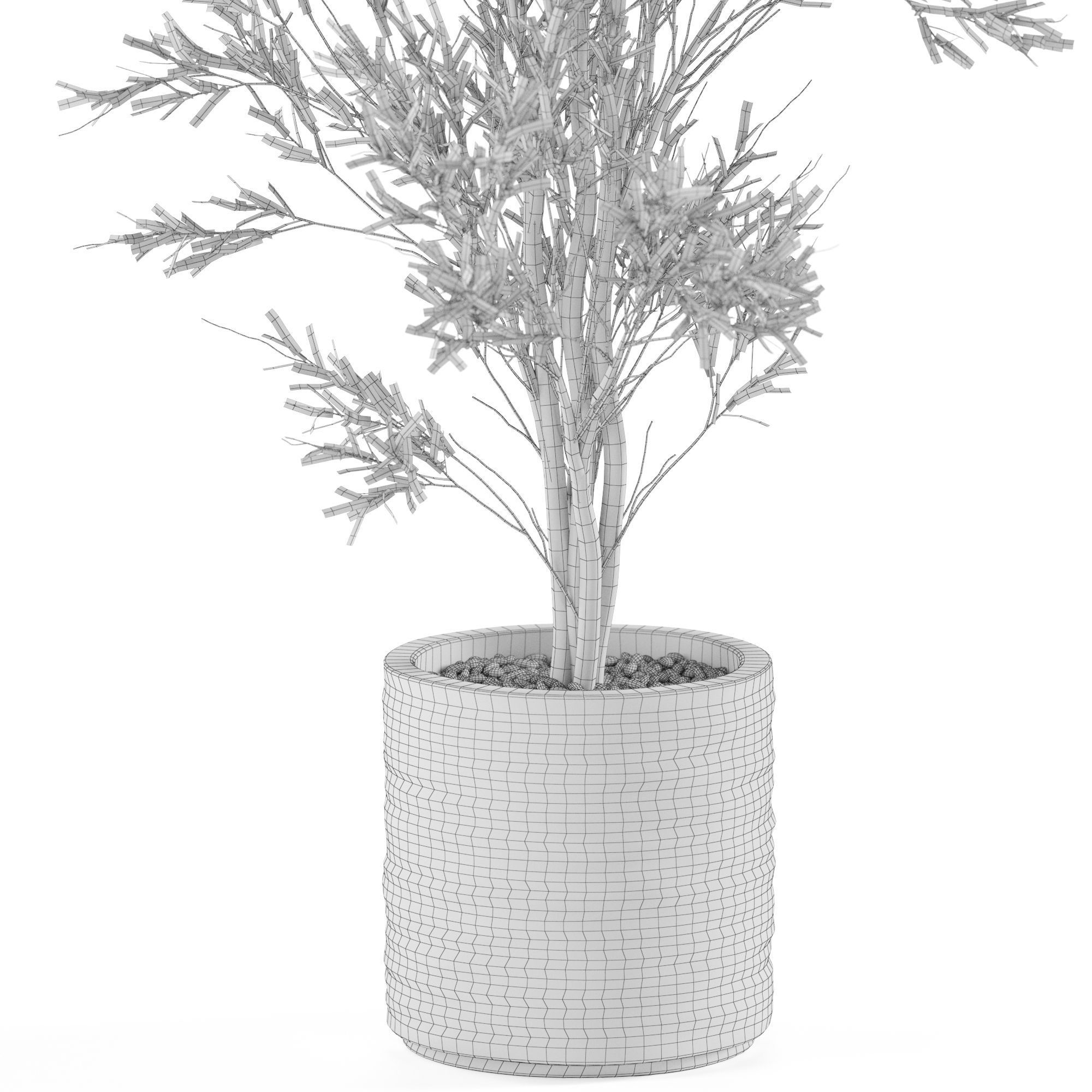 Plants collection 981 3D model | CGTrader