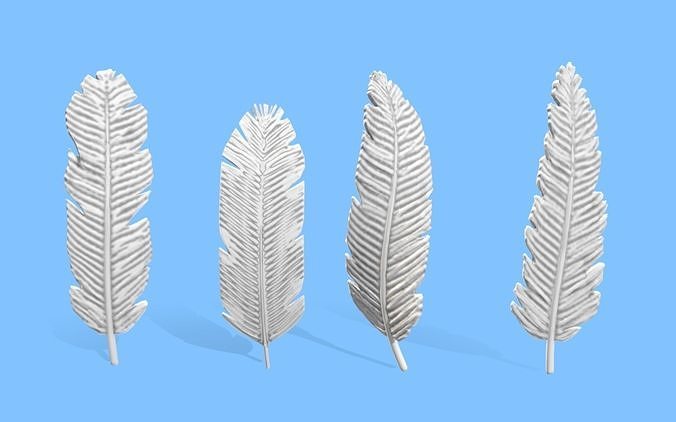 3D model Stylized Feathers VR / AR / low-poly | CGTrader
