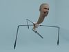 Skibidi Toilet toilet Octopus 3D model rigged | CGTrader