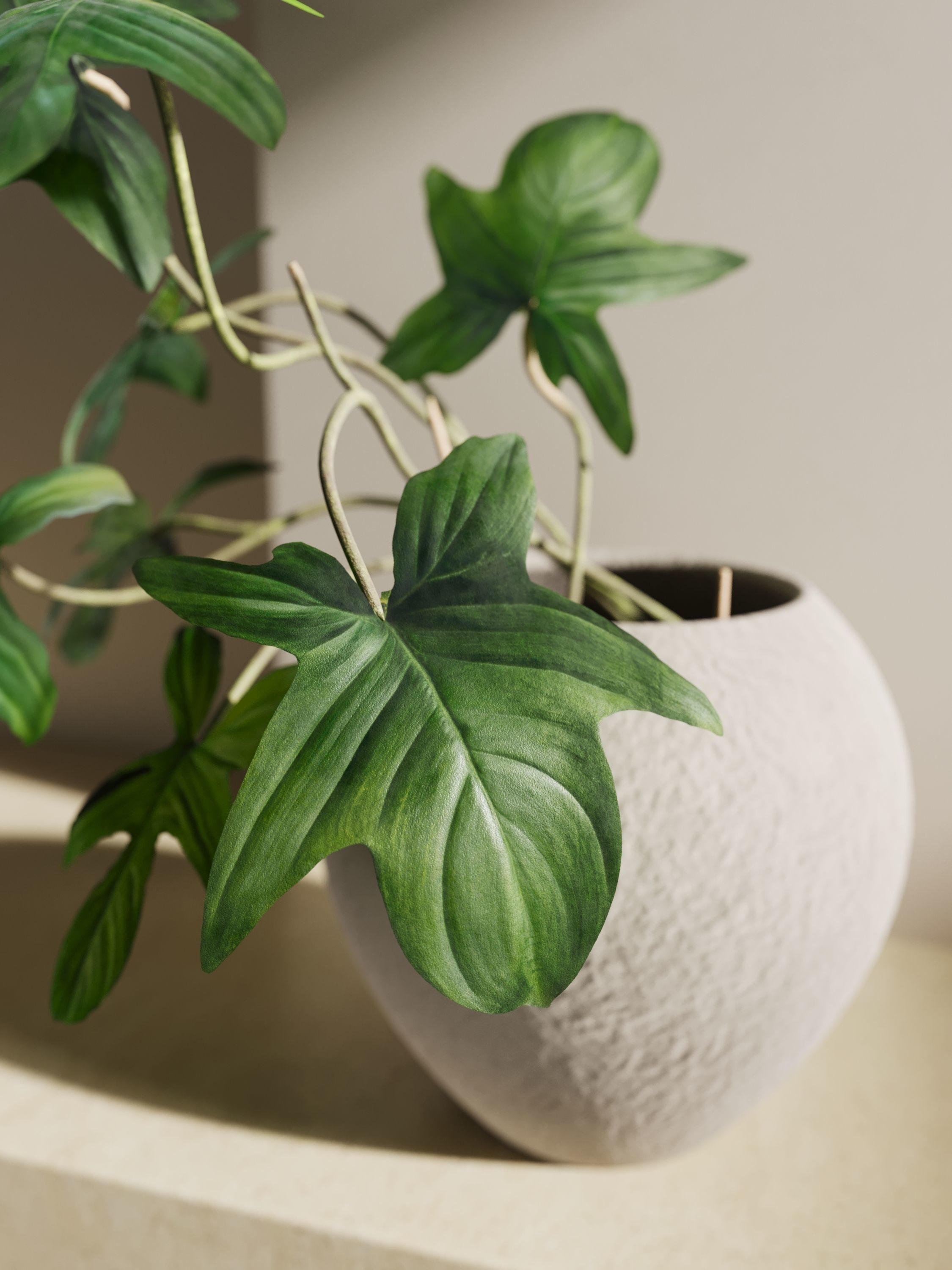 Philodendron in Pot 3D model | CGTrader