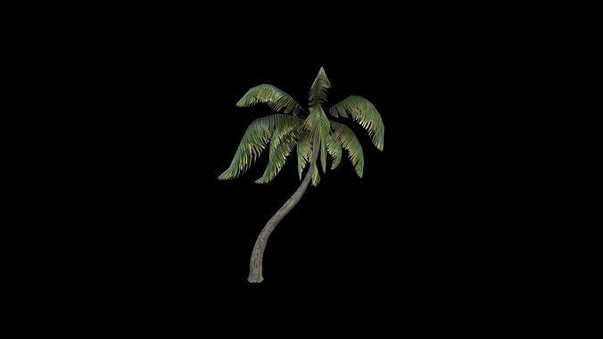 3D Palm Tree 3D model | CGTrader
