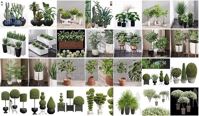 29 Different SETS Of Pot plants Flowers SET VOL06 3D Model Collection ...