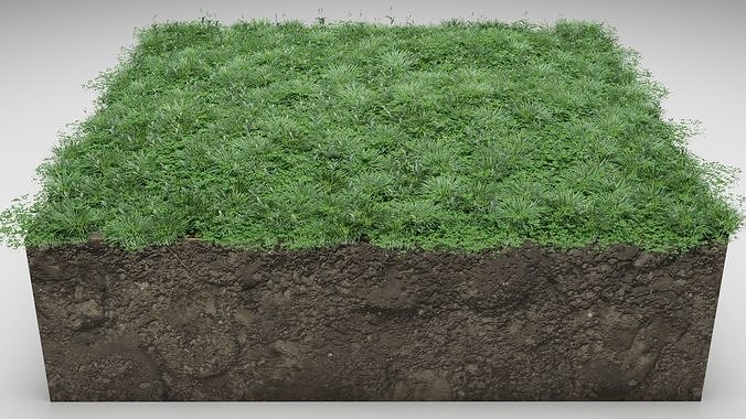 3D model Lawn grass free VR / AR / low-poly | CGTrader