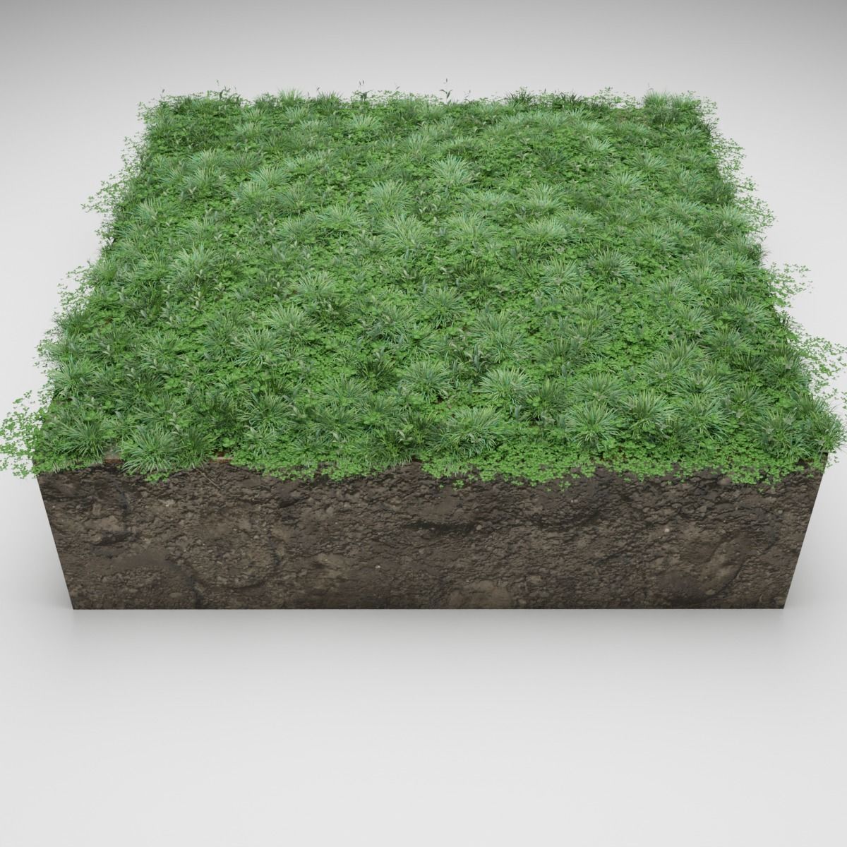 3D model Lawn grass free VR / AR / low-poly | CGTrader