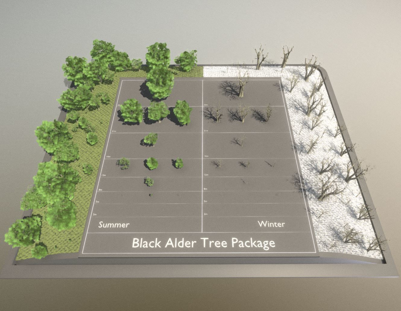 3D model Black Alder Low-Poly Tree Package VR / AR / low-poly | CGTrader