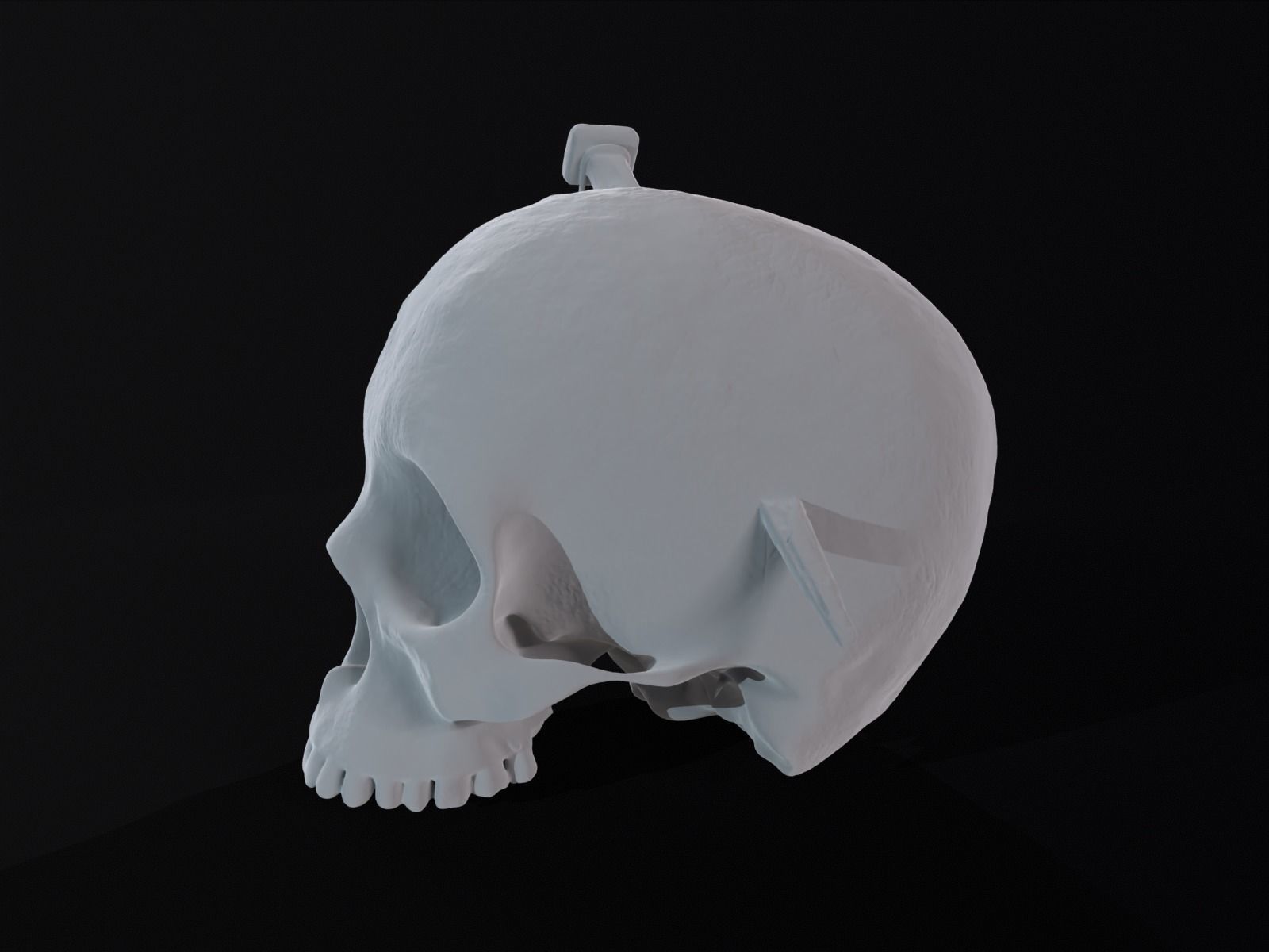 Impaled Skull - 3D Printing 3D model 3D printable | CGTrader