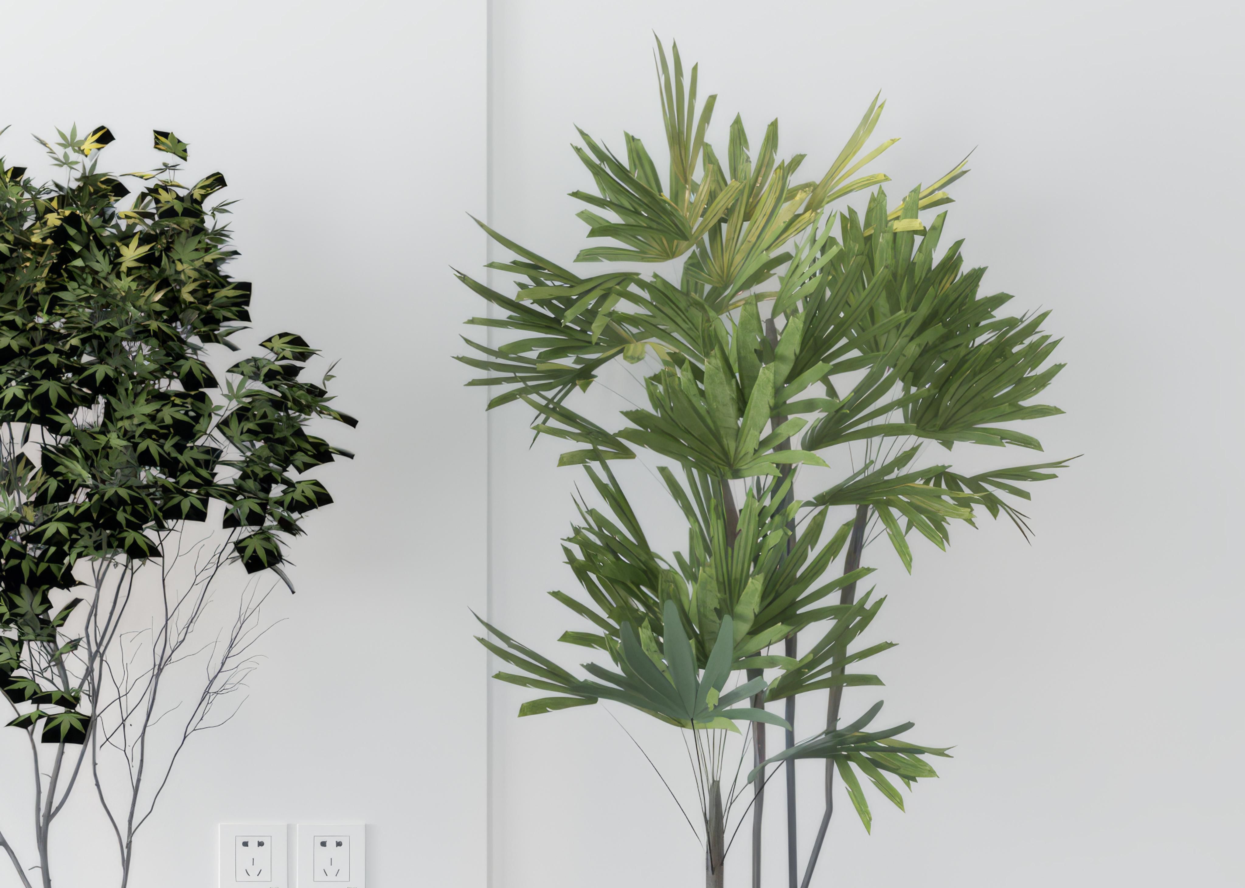 Plant Modern Potting 3D model | CGTrader