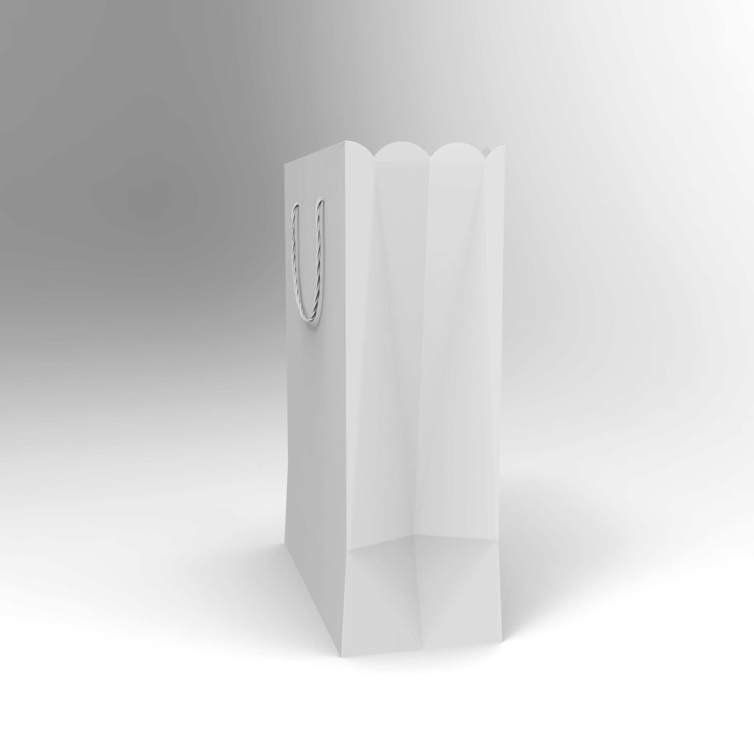 3D Bag Model for Visual Purpose 3D model | CGTrader