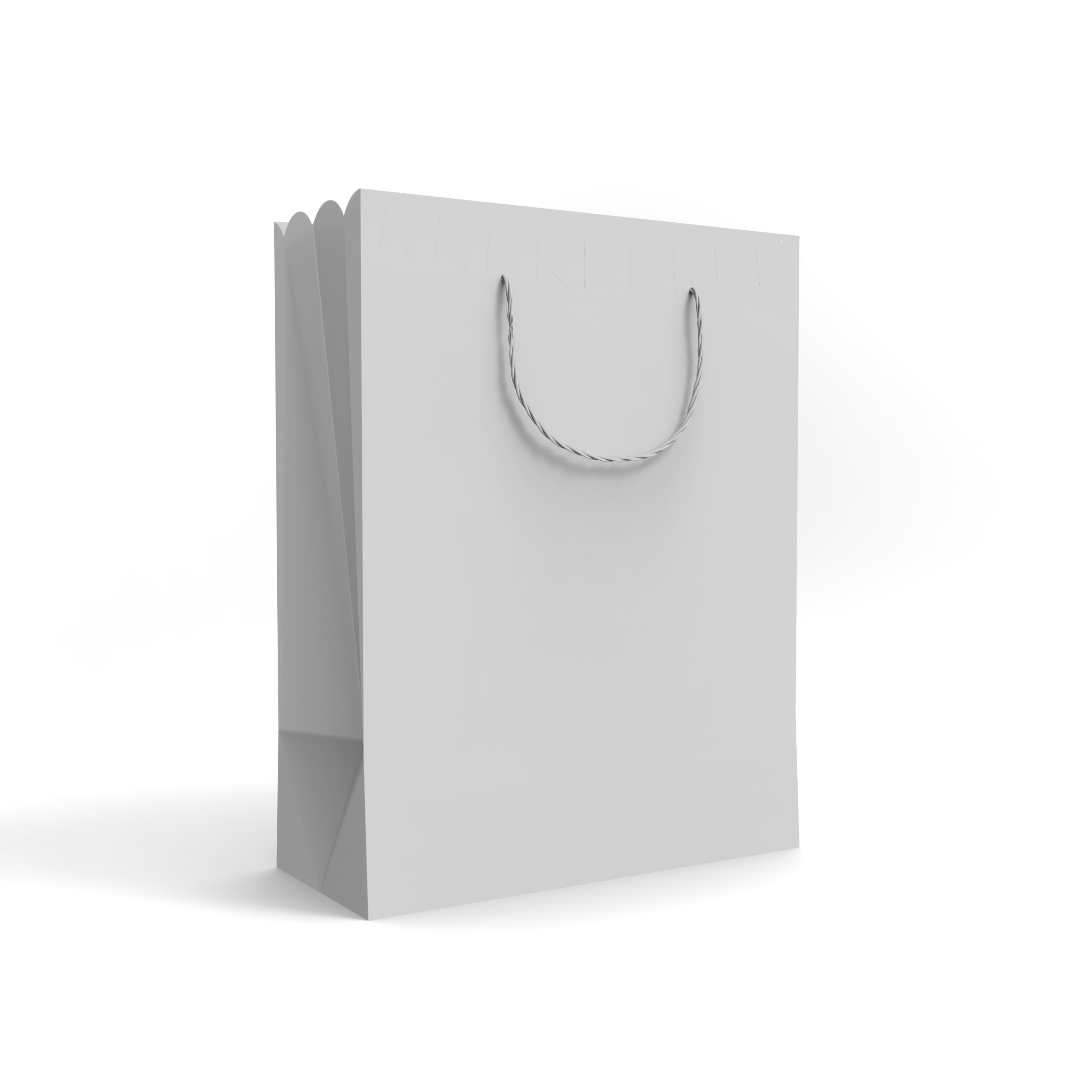 3D Bag Model for Visual Purpose 3D model | CGTrader