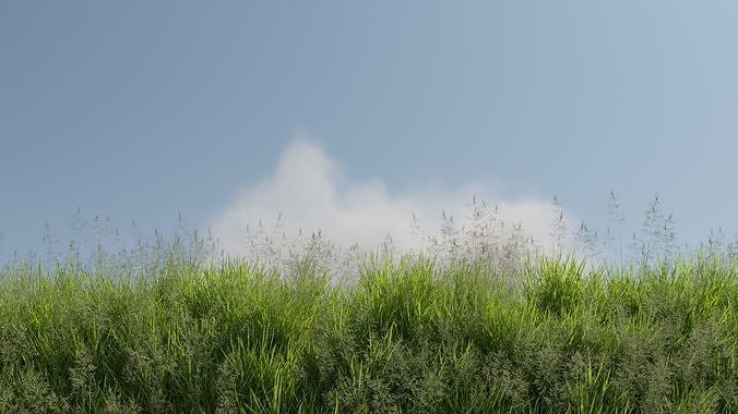 Animated VDB Cumulus Cloud 3D model animated | CGTrader