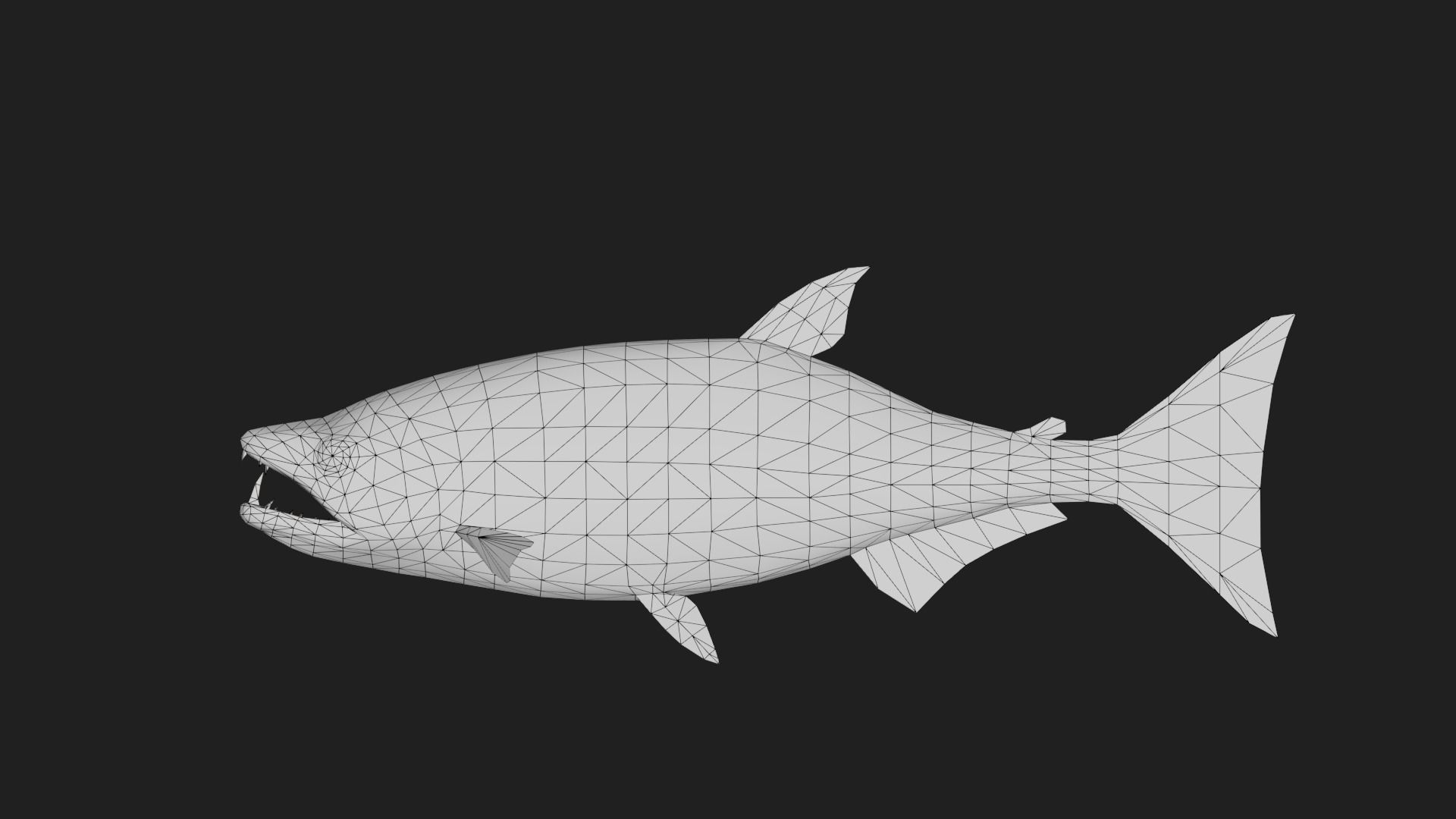 Payara 3D model rigged | CGTrader