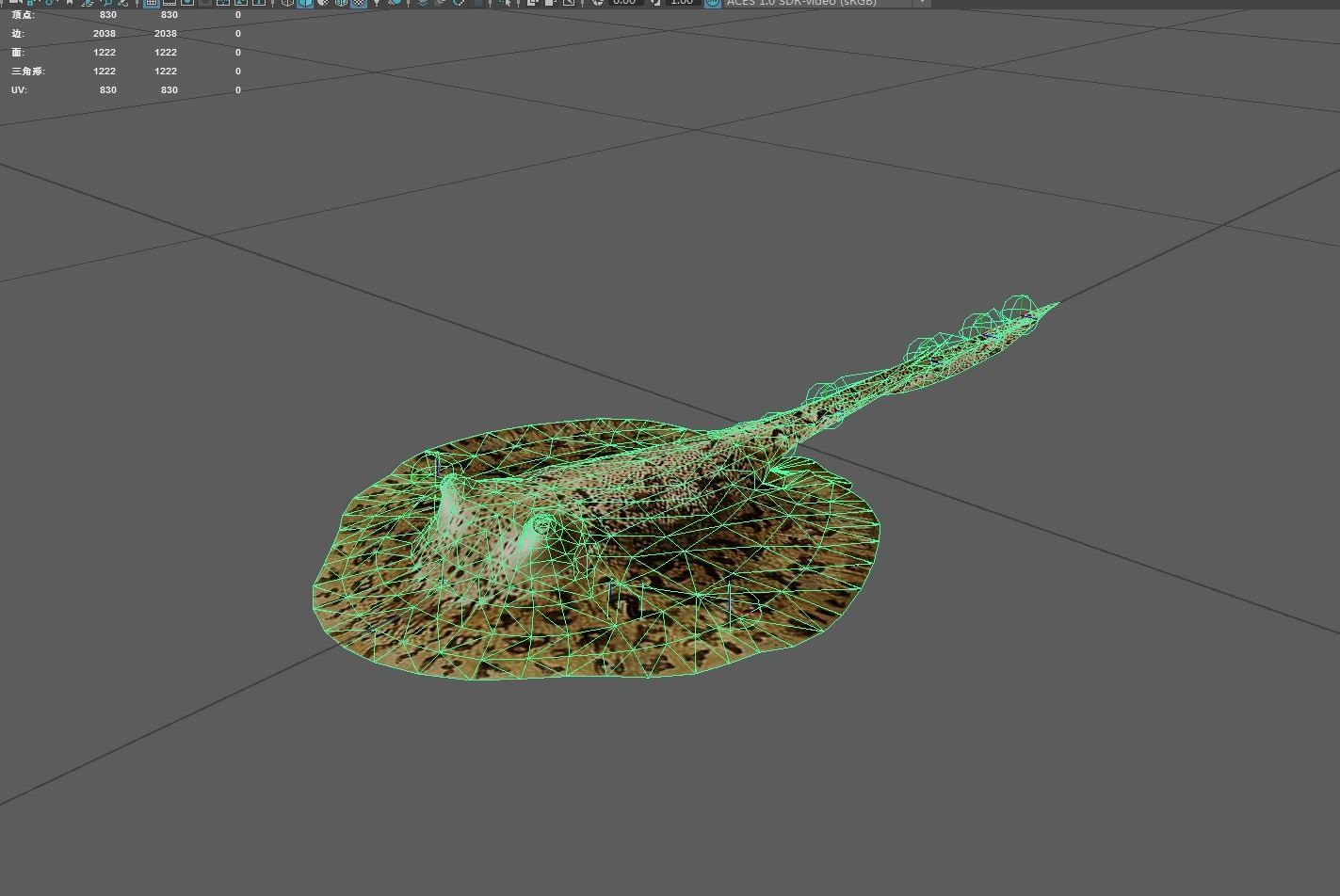 DiscusRay 3D model rigged | CGTrader