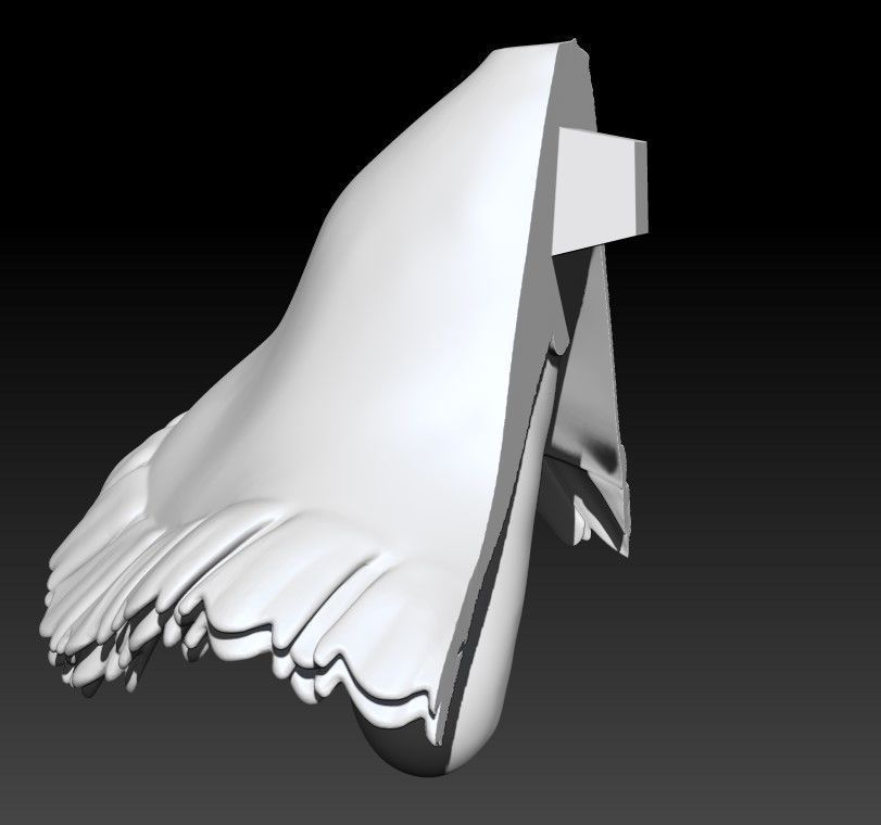 CandyCandy and Capucin 3D model 3D printable | CGTrader