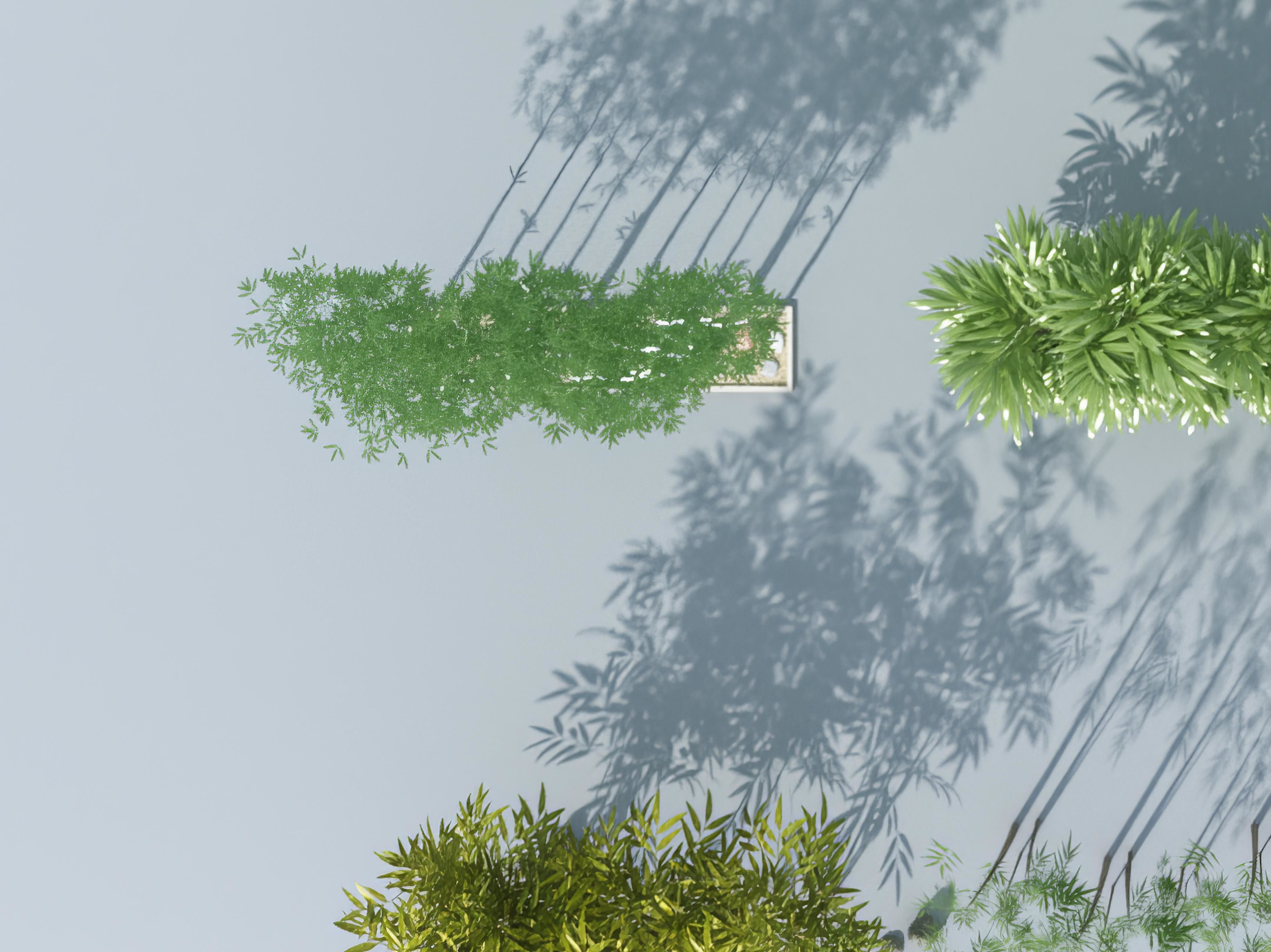 plants flowers Modern Plant monomer 3D model | CGTrader