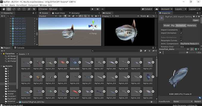 Unity Game Ready Pack - Low poly Rif Fish Collection Animated 3D model rigged | CGTrader