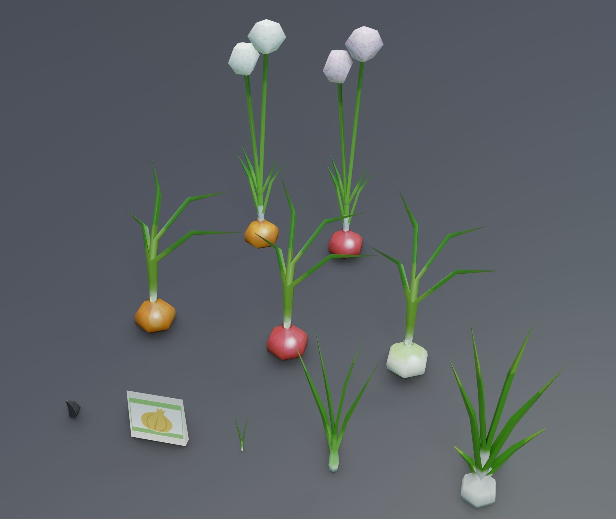 3D model Onion growing and cooking set VR / AR / low-poly | CGTrader
