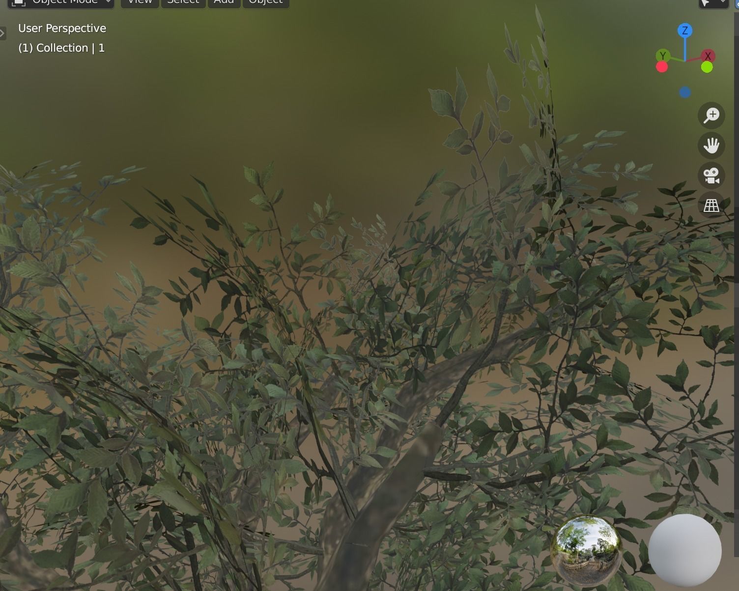 3D model oak tree VR / AR / low-poly | CGTrader