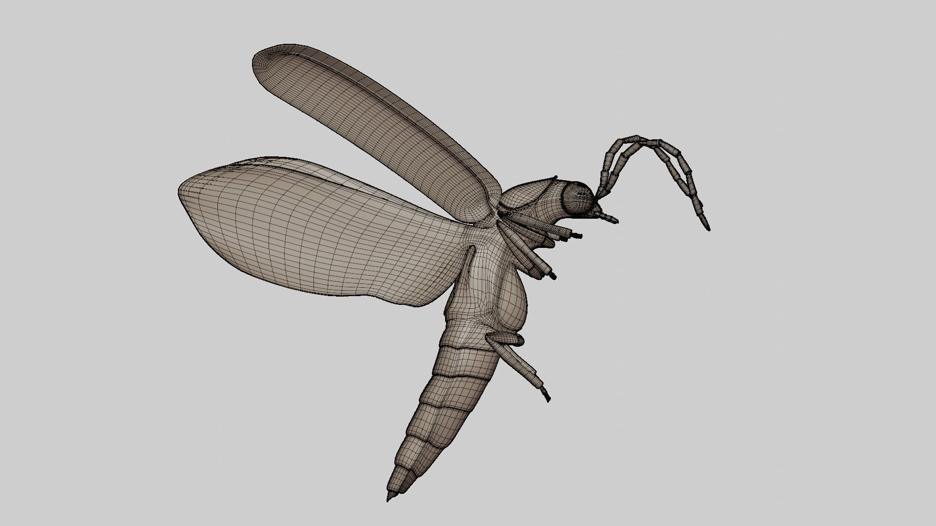 3D model Realistic Firefly Insect - Rigged - Animated VR / AR / low ...