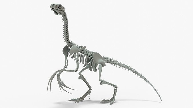 Therizinosaurus Skeleton