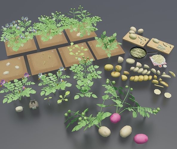 3D model Potato growing and cooking set VR / AR / low-poly | CGTrader