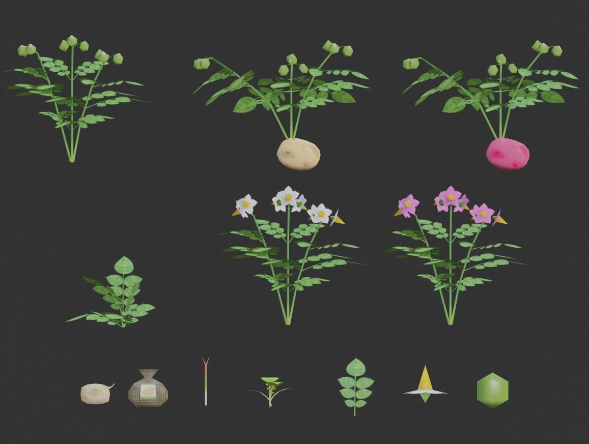 3D model Potato growing and cooking set VR / AR / low-poly | CGTrader