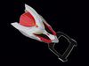 Dragvisor Kamen rider Ryuki 3D model | CGTrader