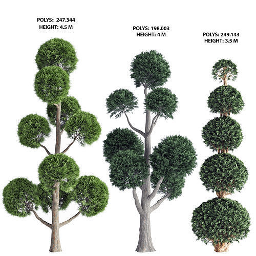 Decorative garden tree set 02 3D model | CGTrader