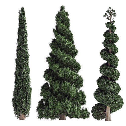 Decorative garden tree 3D model | CGTrader