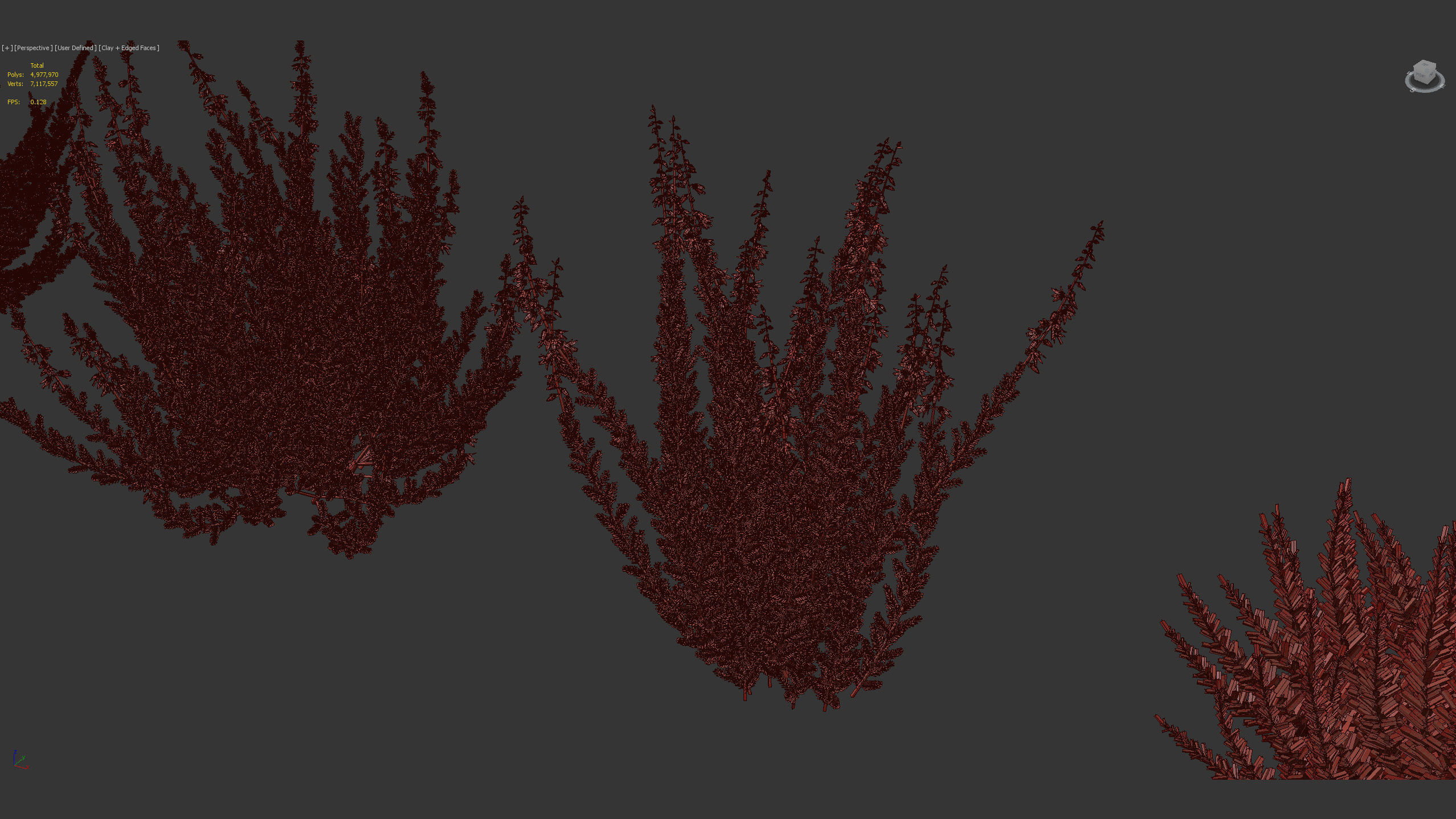 Calluna vulgaris Scotch heather 3D model | CGTrader