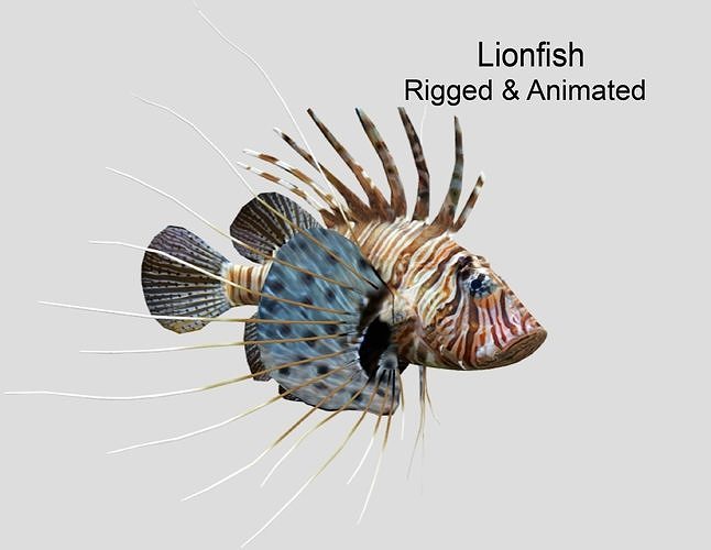 3D model Lionfish Realistic Animated VR / AR / low-poly | CGTrader