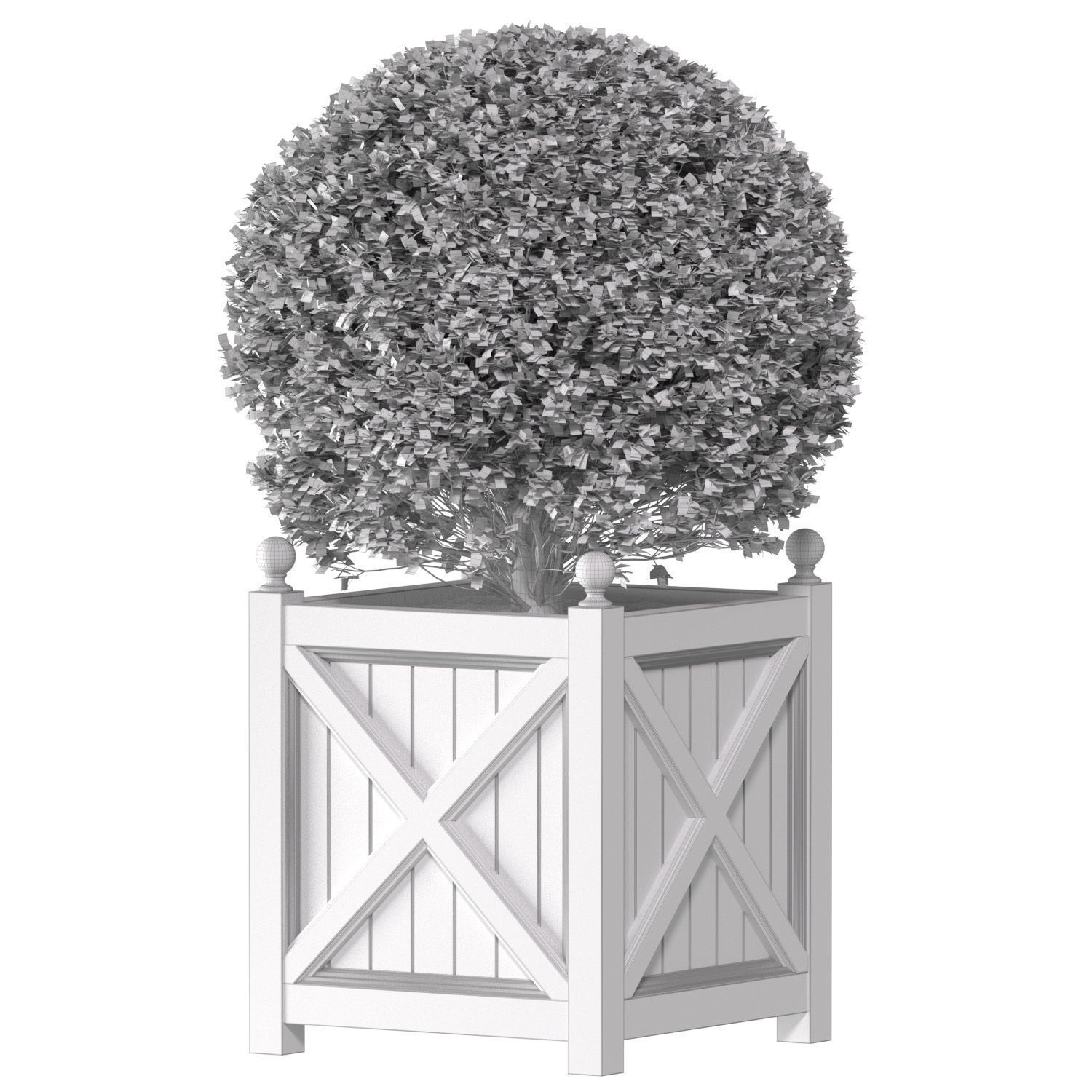Boxwood in a garden planter Front Entrance Tree 3D model | CGTrader