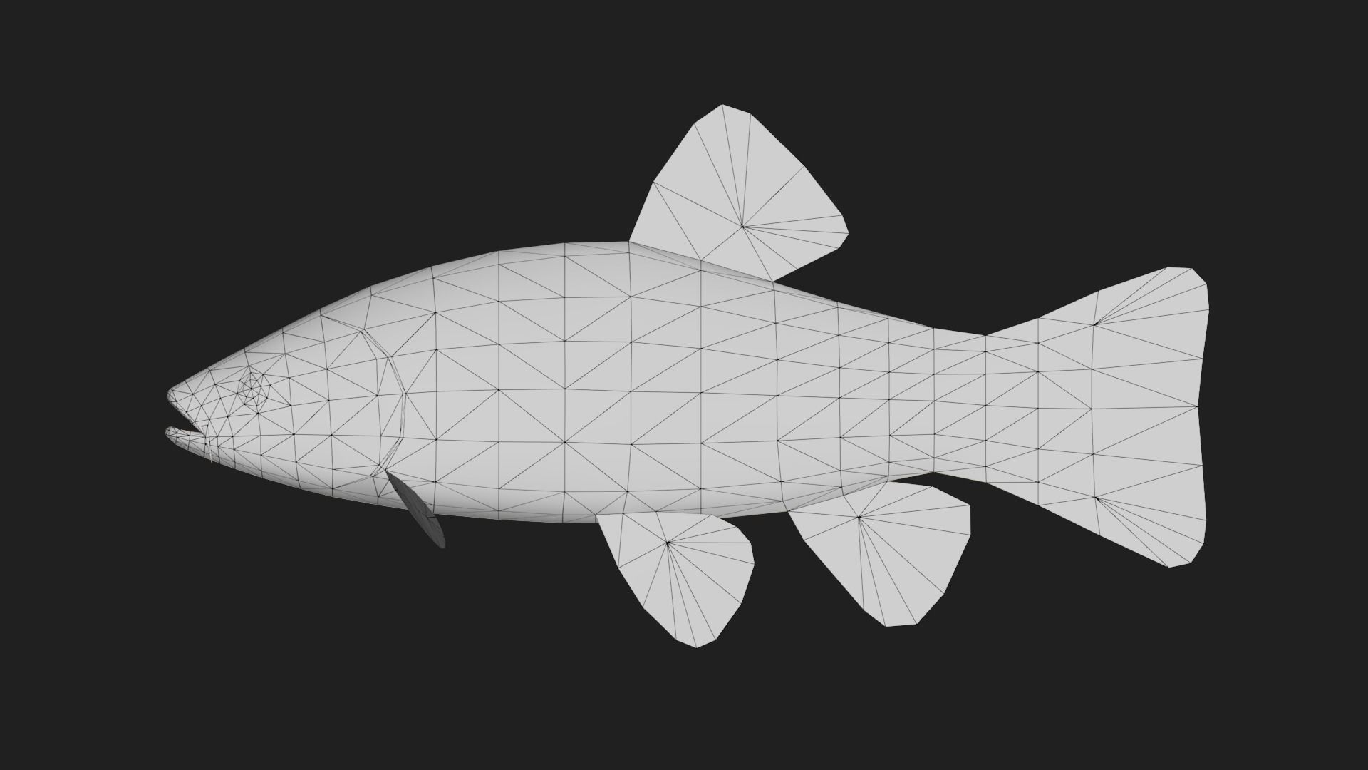 Carp fish 3D model rigged | CGTrader