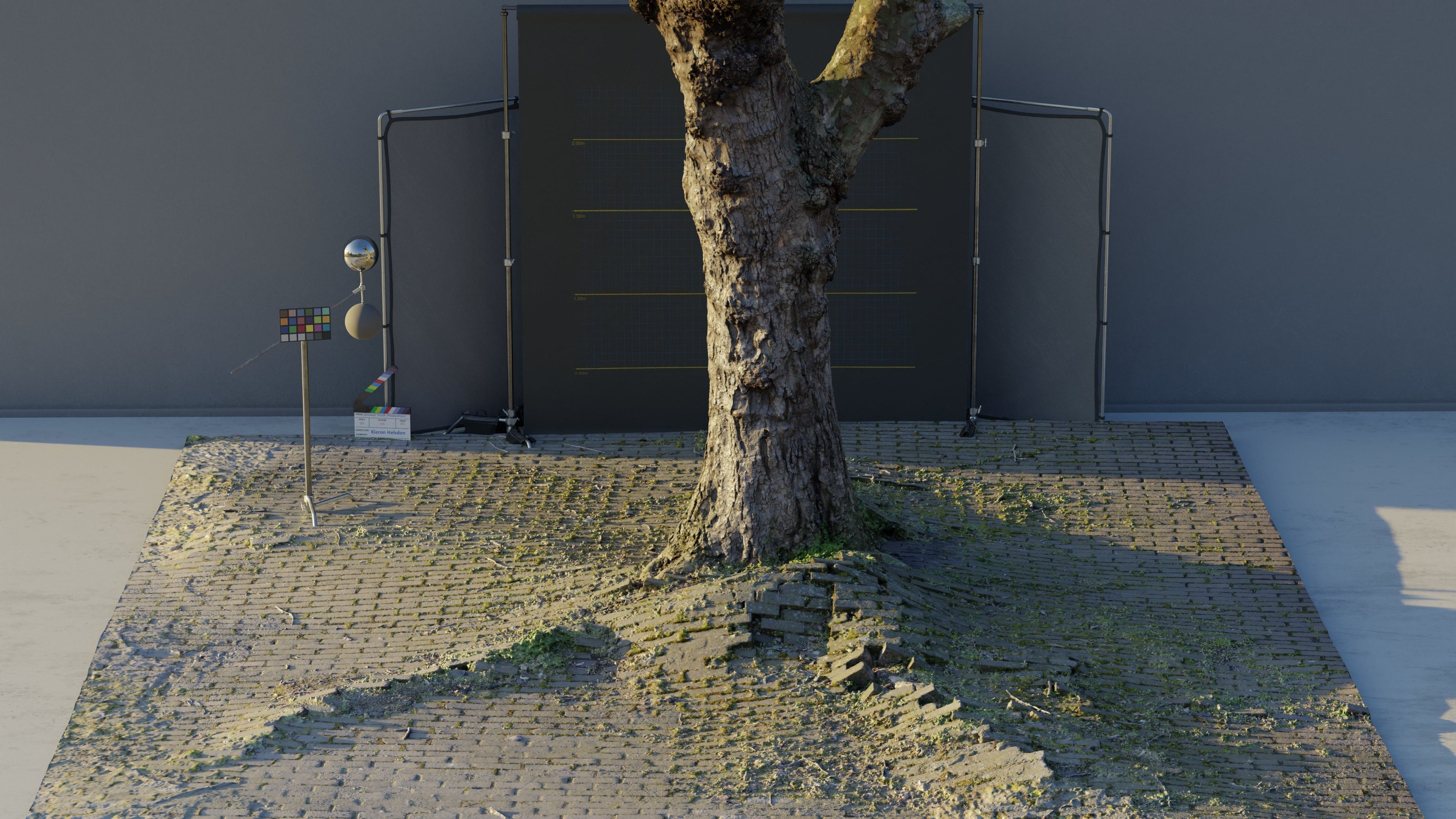 3D model Photogrammetry Model of a London Plane Tree with Broken Ground ...