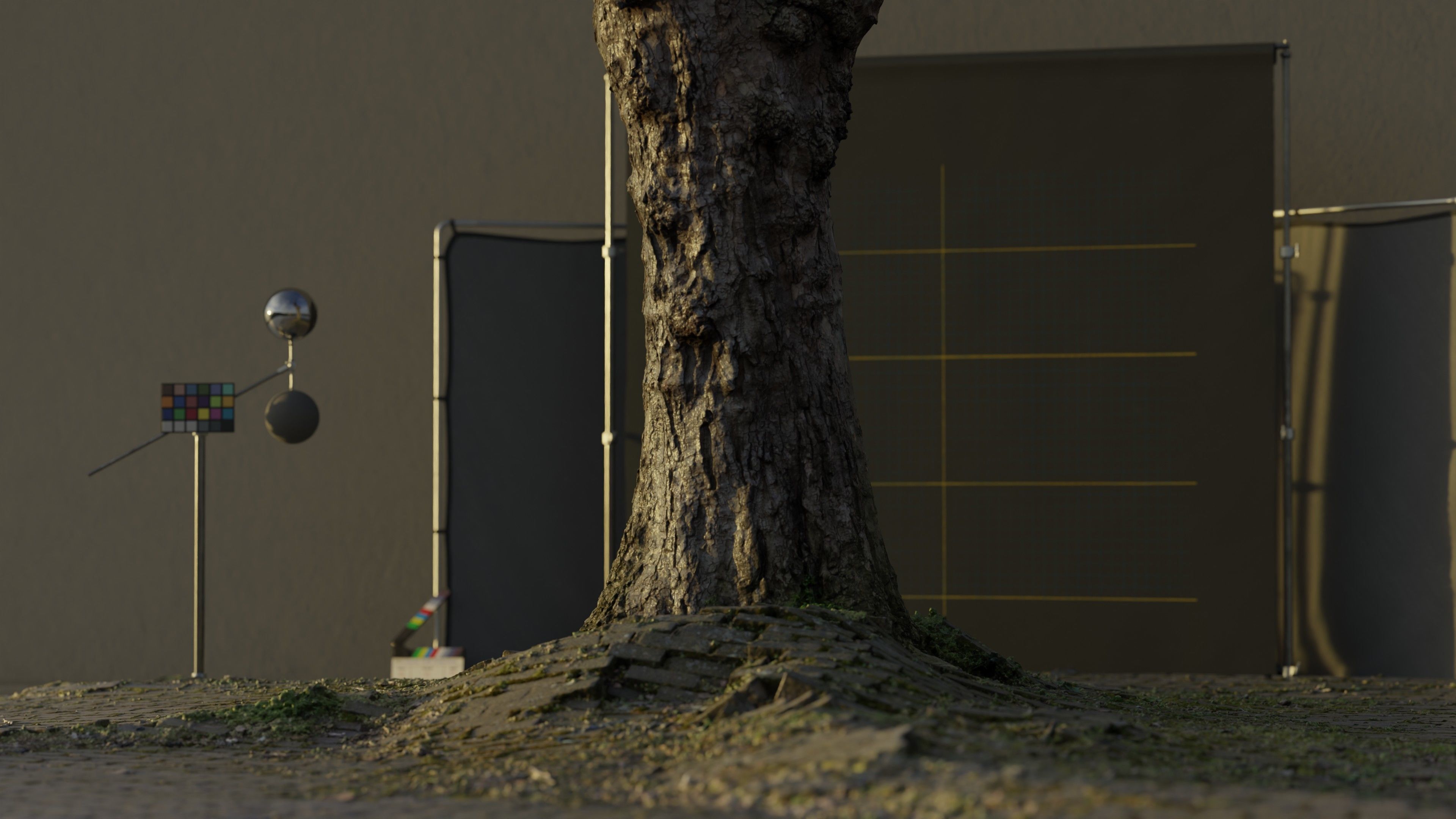 3D model Photogrammetry Model of a London Plane Tree with Broken Ground ...