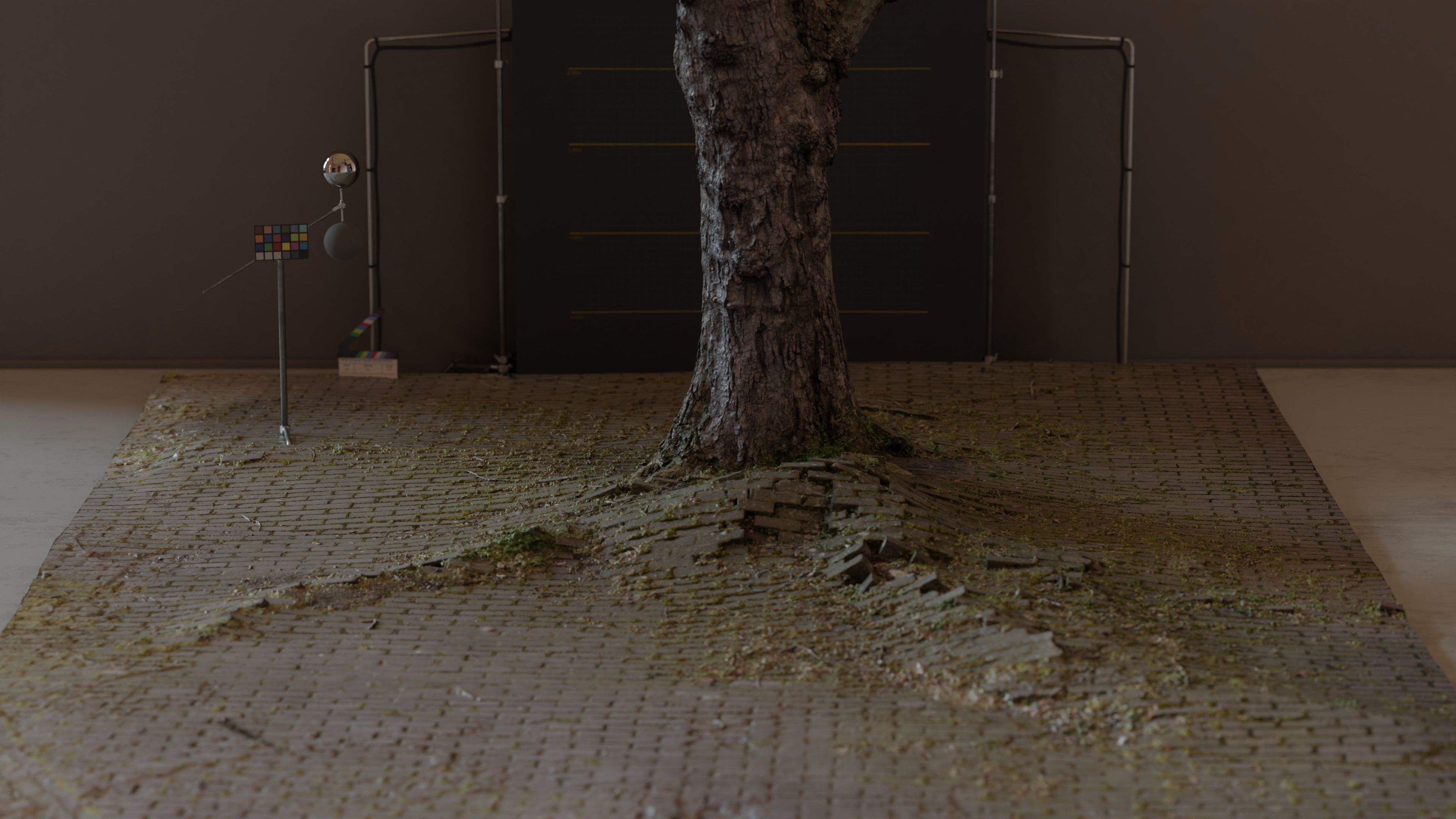 3D model Photogrammetry Model of a London Plane Tree with Broken Ground ...