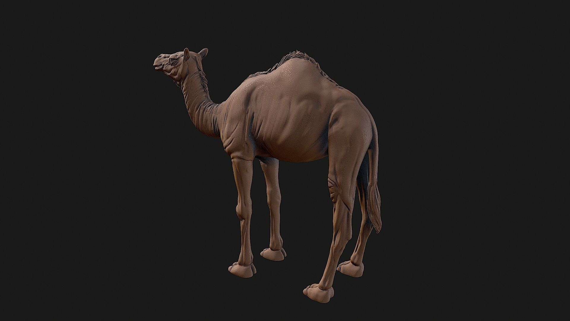 Camel 3D model ready to print 3D model 3D printable | CGTrader