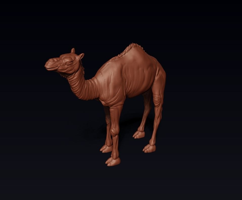Camel 3D model ready to print 3D model 3D printable | CGTrader