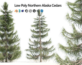 False 3D Models | CGTrader