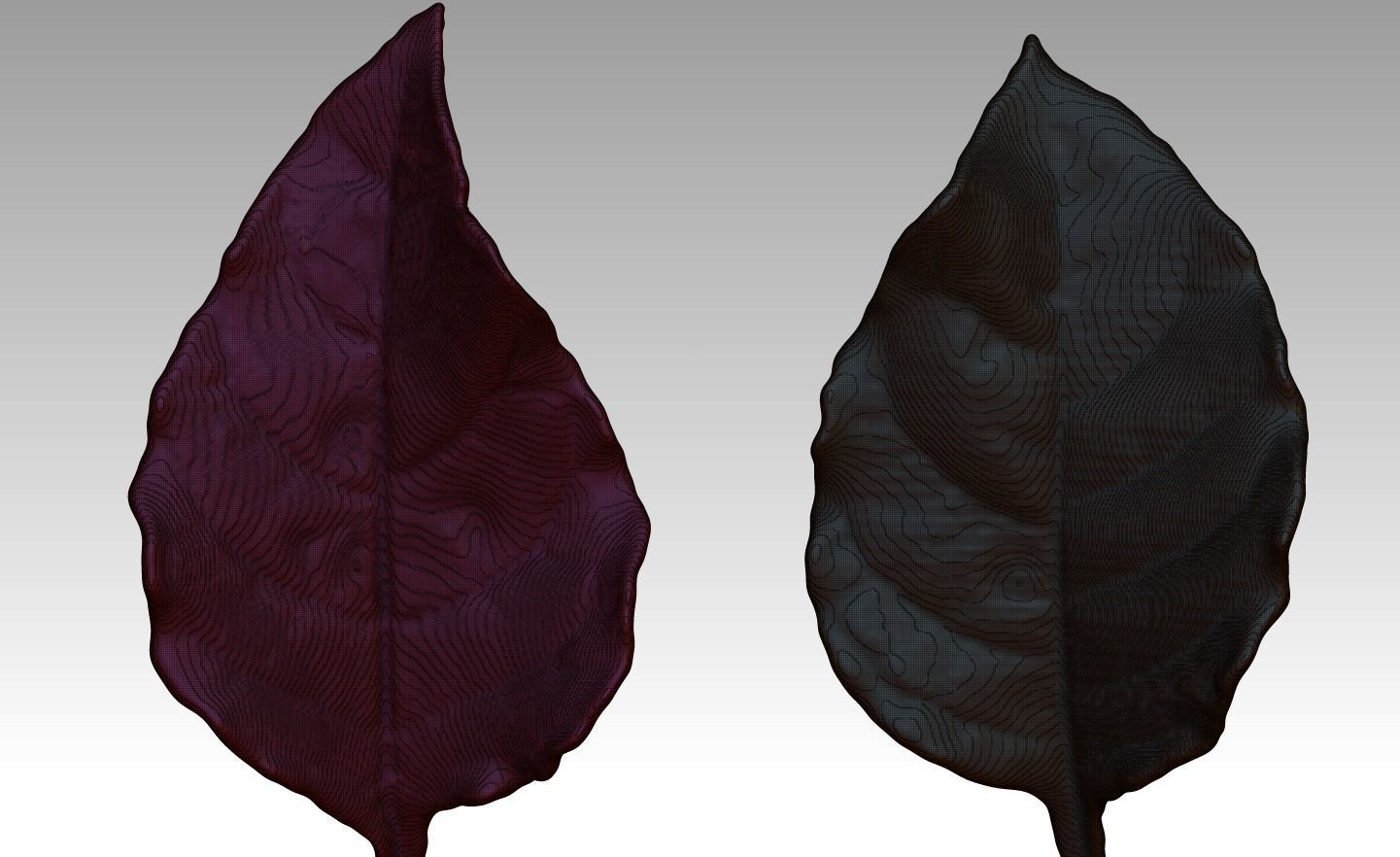 3D printing STL Leaf sculpture 3D diagram ZBrus Leaf brush 3D model 3D ...