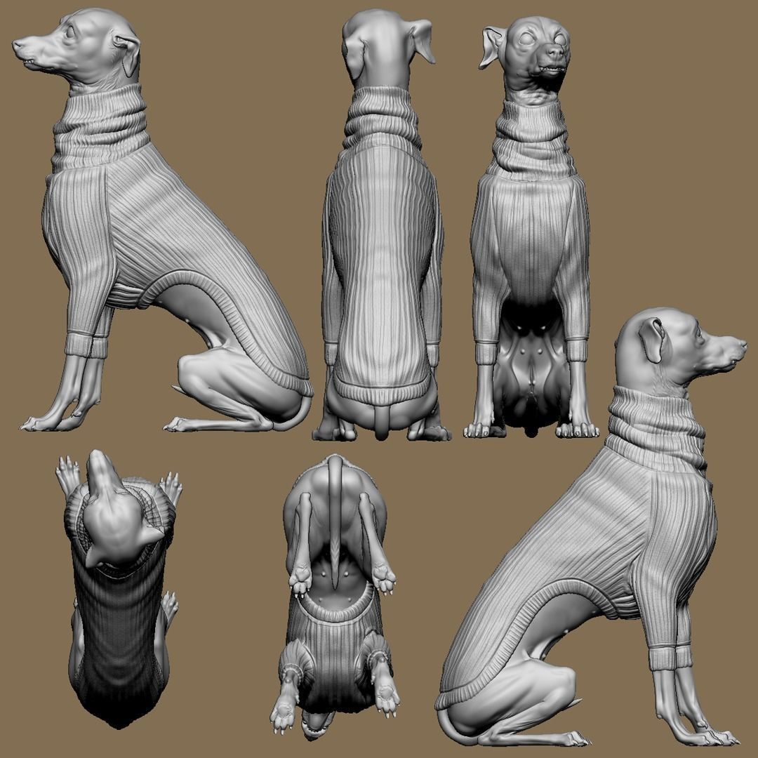 Suzy Sweater 3D model 3D printable | CGTrader