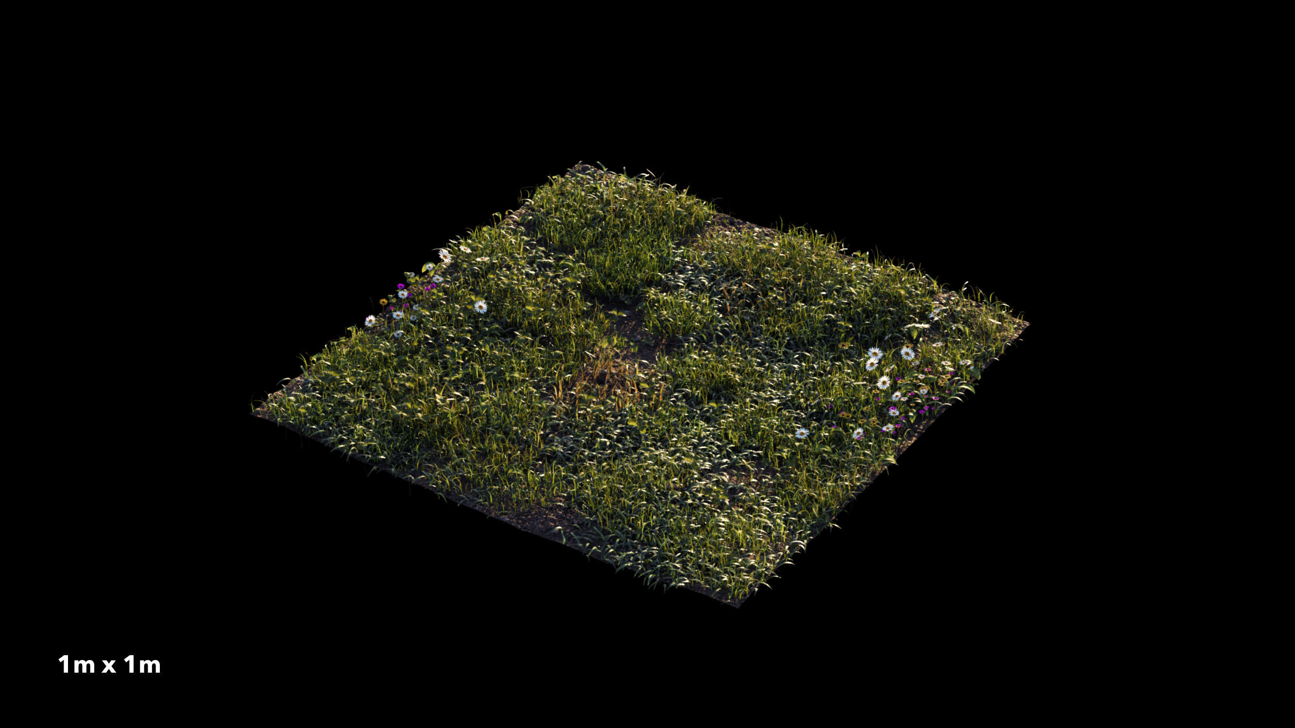 Grass setup - Chaos scatter for Cinema 4D and Corona 3D model | CGTrader