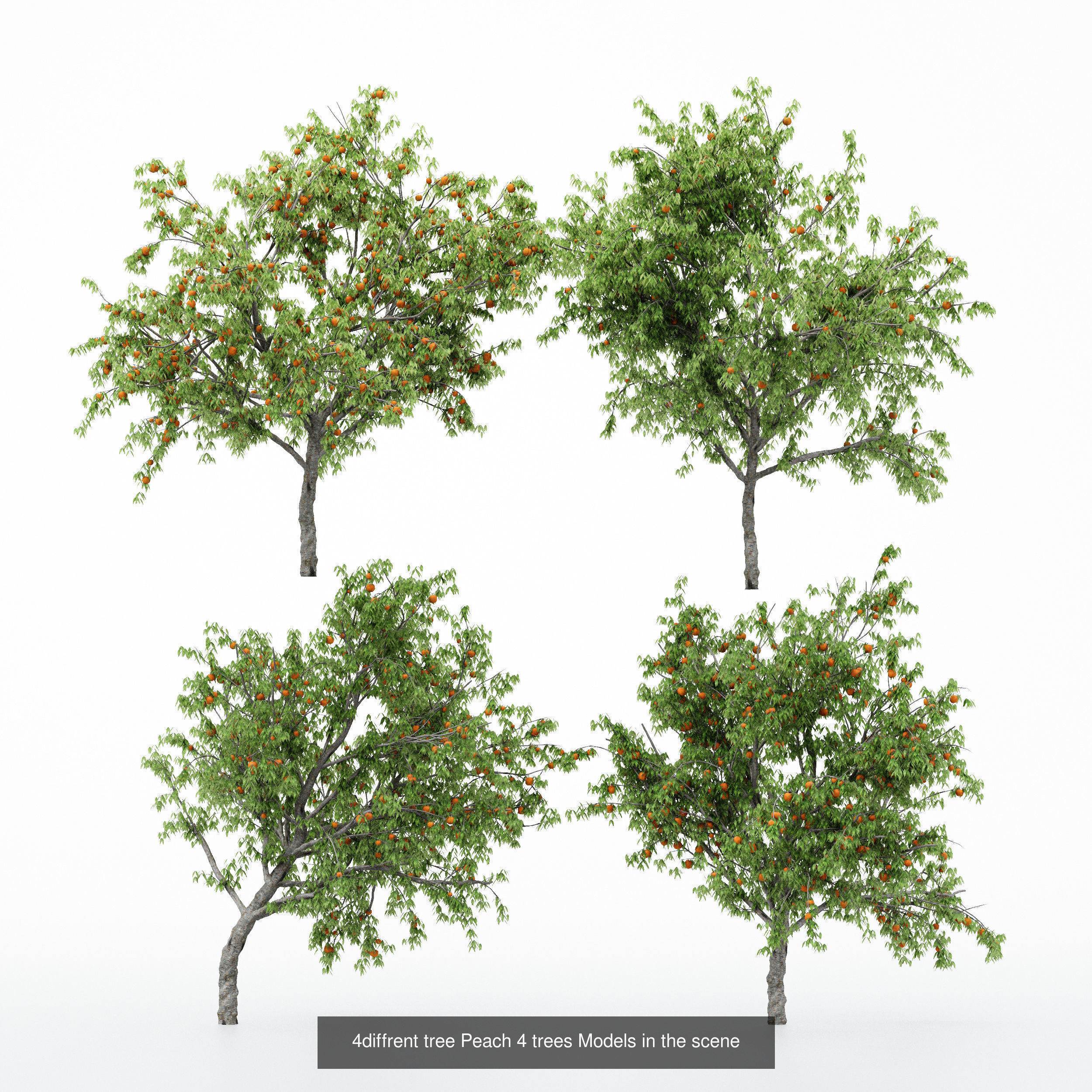 10 Different SETS Of Fruit Tree SET VOL09 3D Model Collection | CGTrader