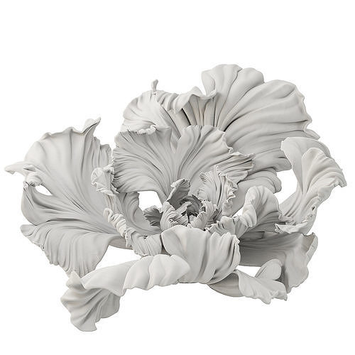 Gypsum flower 3D model | CGTrader