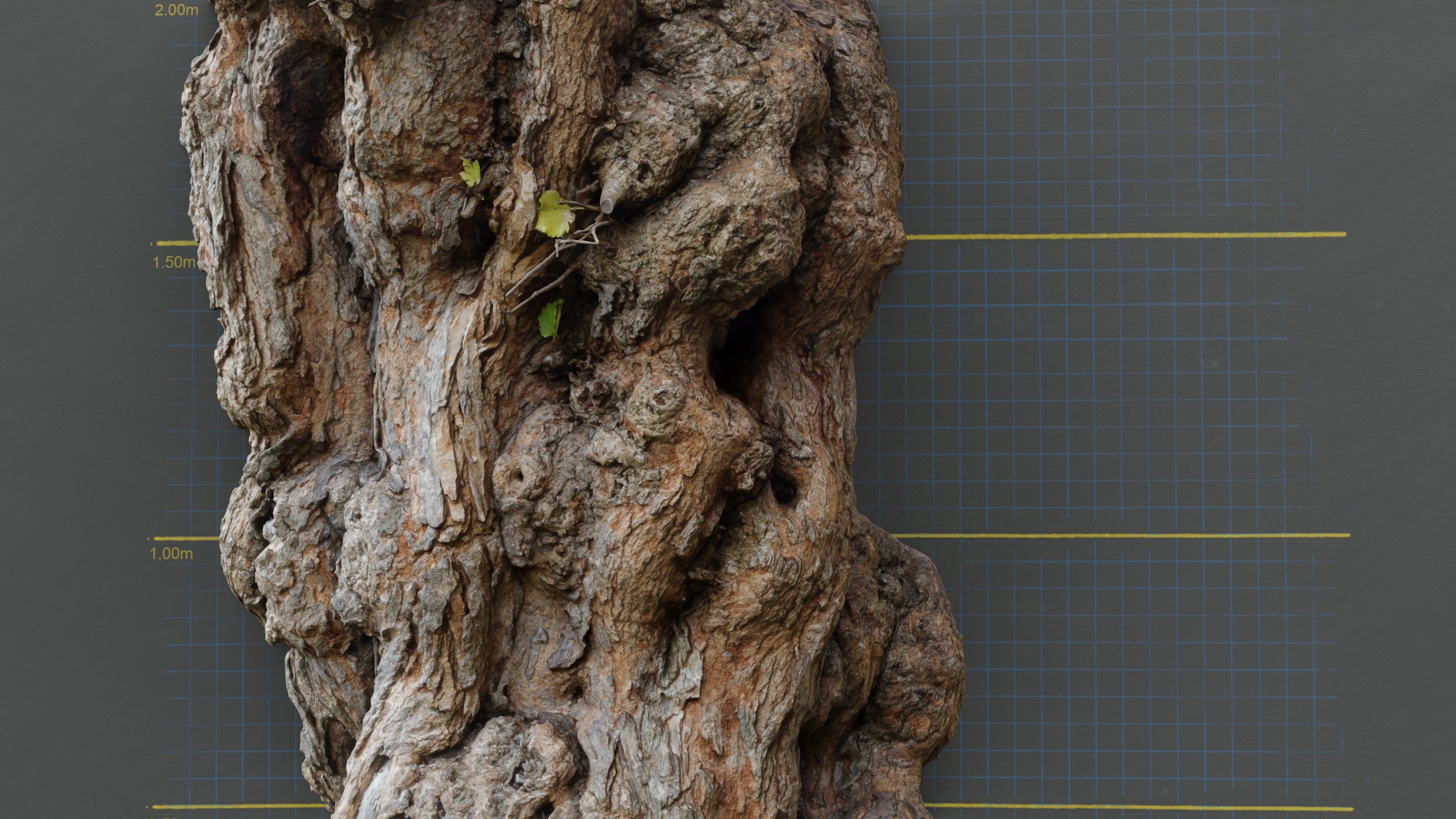 3D model Photogrammetry Model of a Mulberry Tree VR / AR / low-poly ...