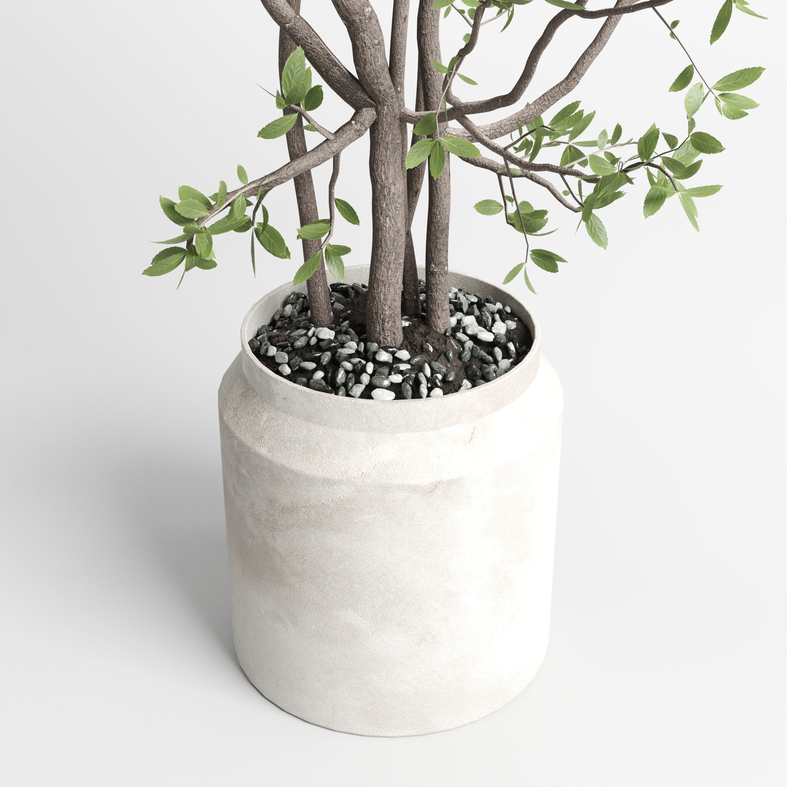 3D model Indoor plant 406 concrete dirt vase plant tree pot VR / AR ...