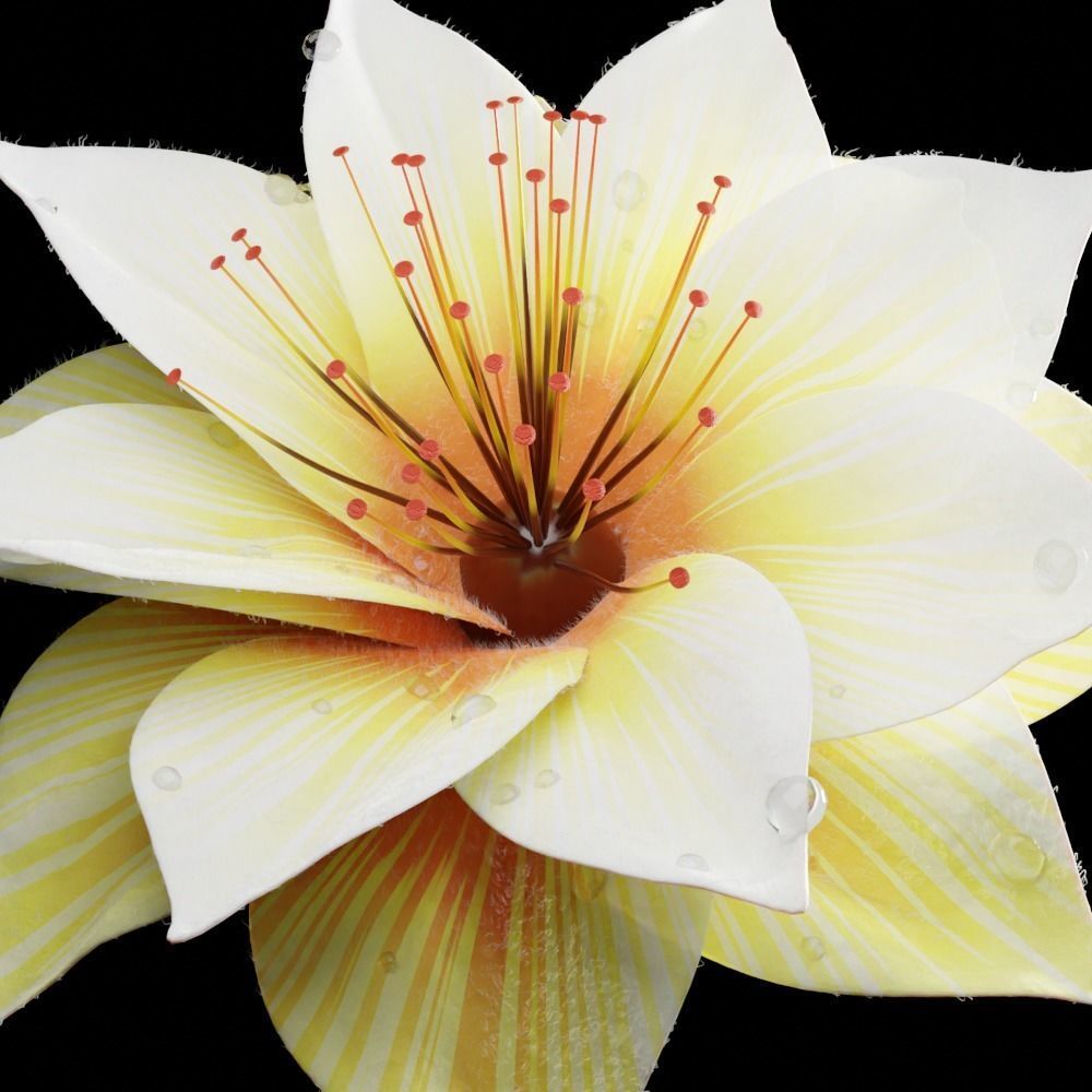 Unique Flower 09 3D model | CGTrader