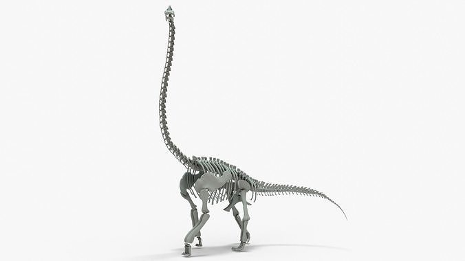 Brachiosaurus Skeleton Model