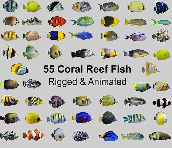 3D model Coral Reef Fish Collection Animated VR / AR / low-poly | CGTrader