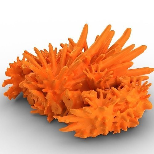 Printable Coral Polyps