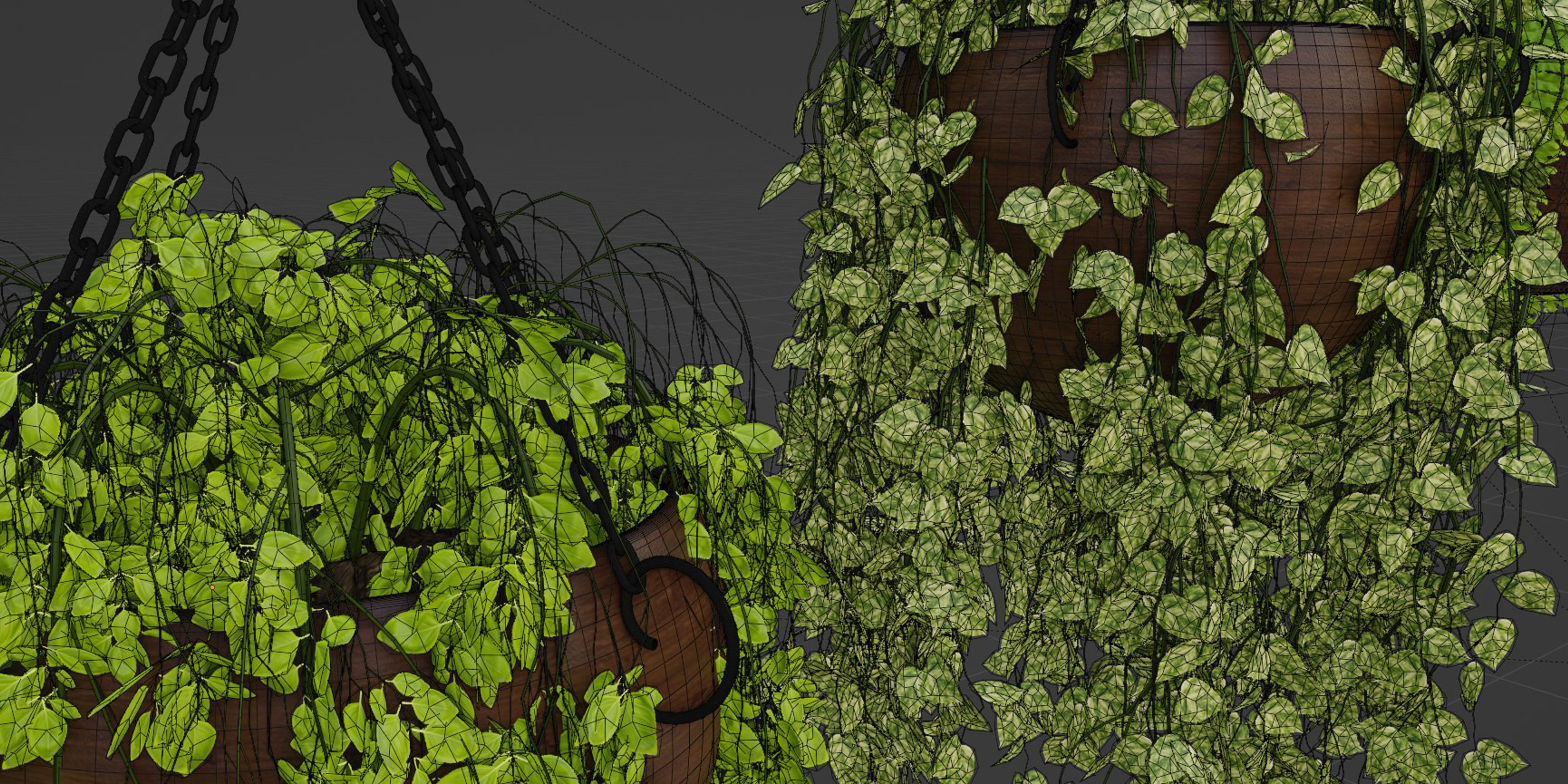 Hanging plant indoor collection vol 41-Blender 3D model | CGTrader